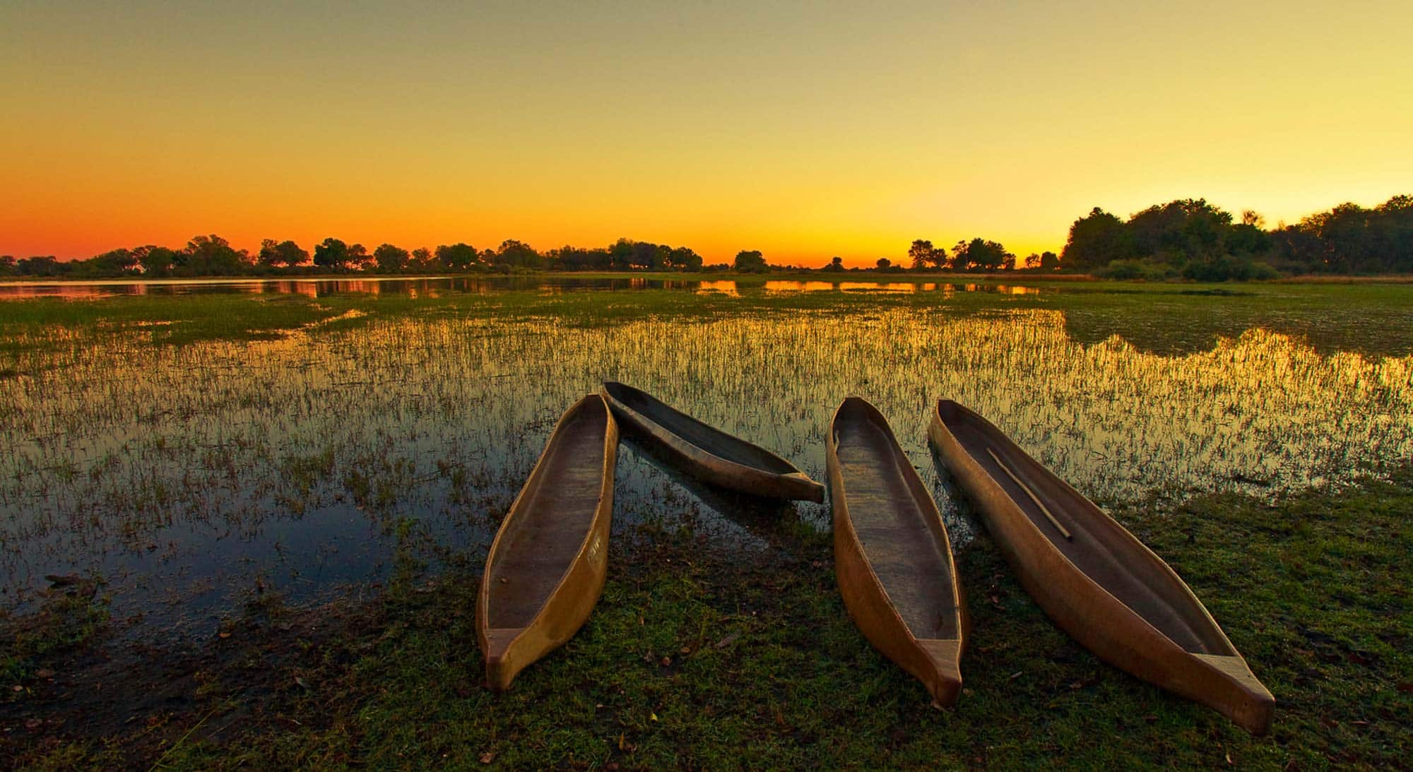 Exploring the Okavango Delta: Nature's Magnificent Oasis